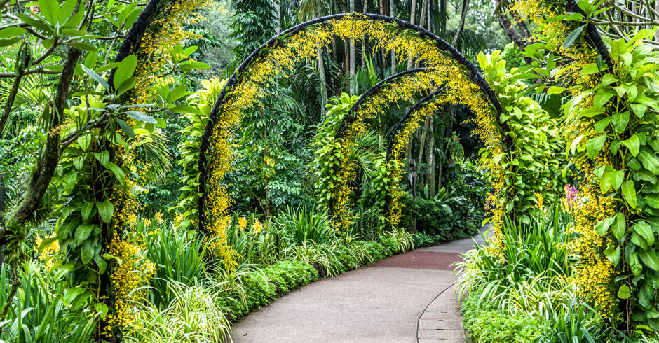 Finest Botanical Gardens Around the World And Their Fascinating Plants