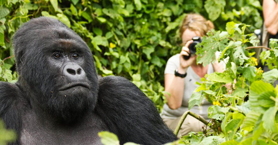 13 Epic Life Experiences To Add to Your Bucket List Right Now