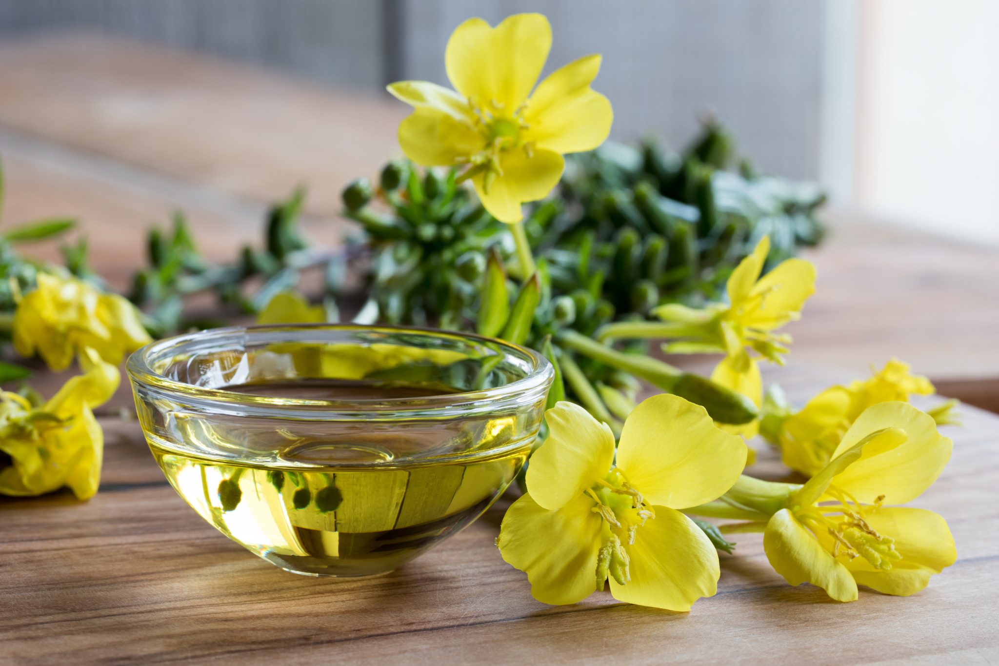 29 Types of Yellow Flowers: Popular Yellow Flowers to Brighten Your Day