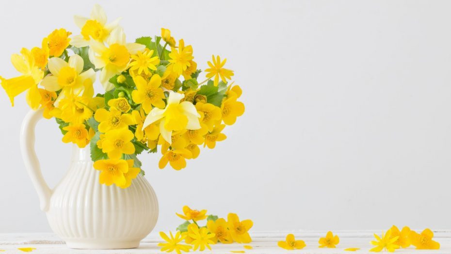 29 Types of Yellow Flowers: Popular Yellow Flowers to Brighten Your Day