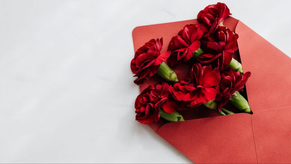 40 Types of Red Flowers with Names and Pictures