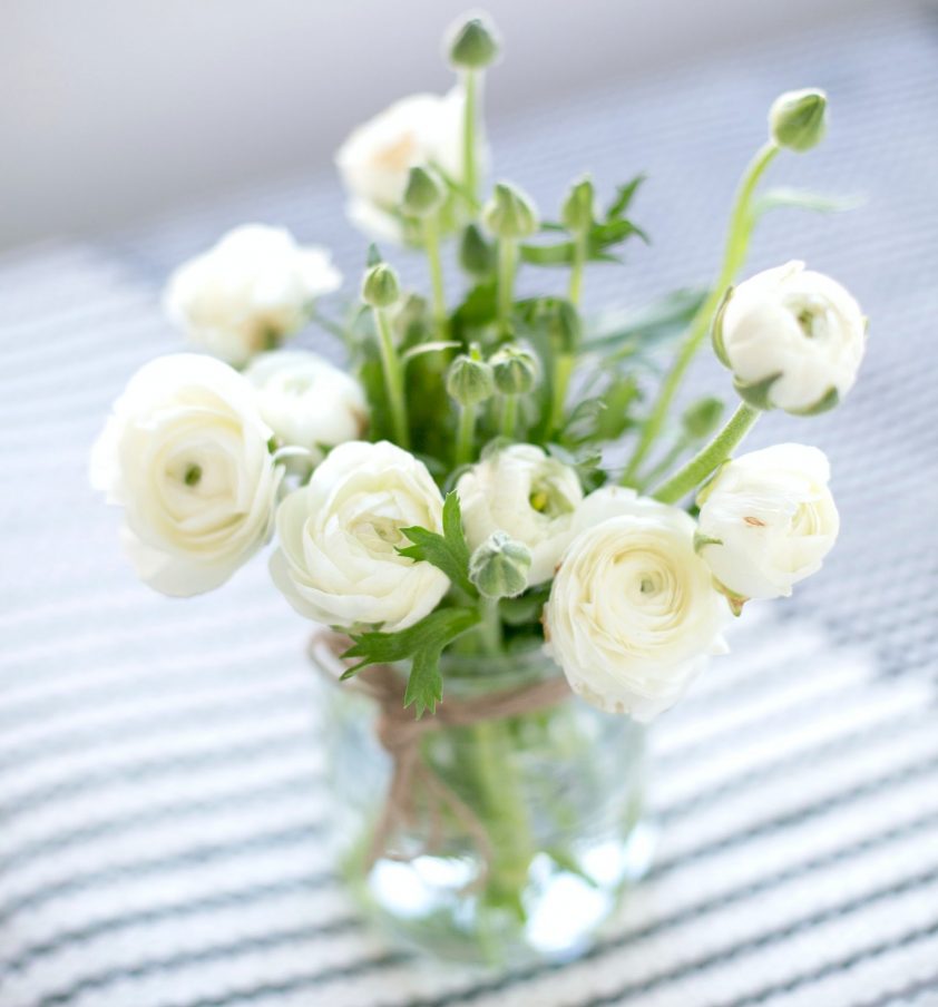 30 Types of White Flowers With Names & Pictures