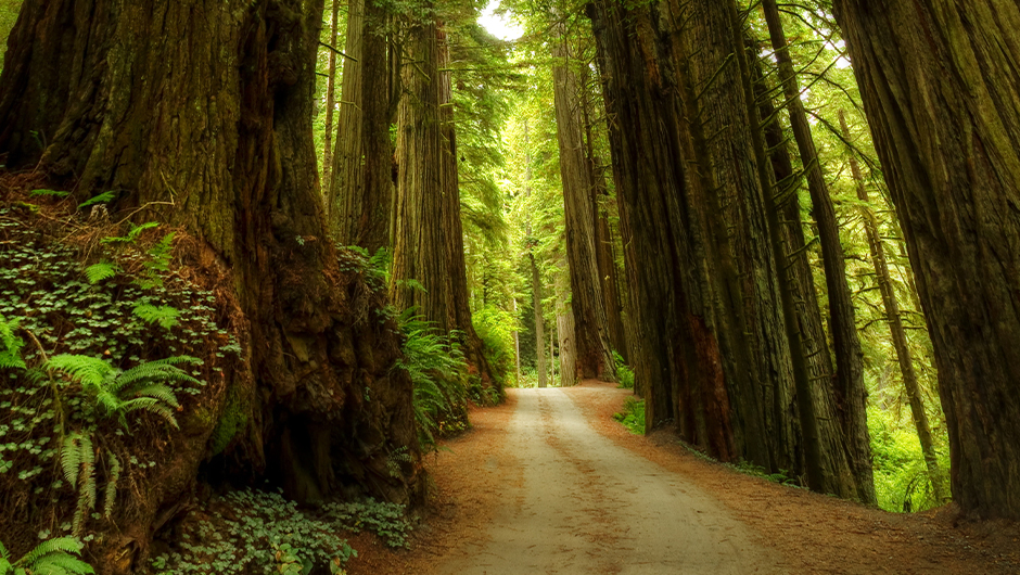 Too Good To Be True: Fictional Places You Can Visit In Real Life