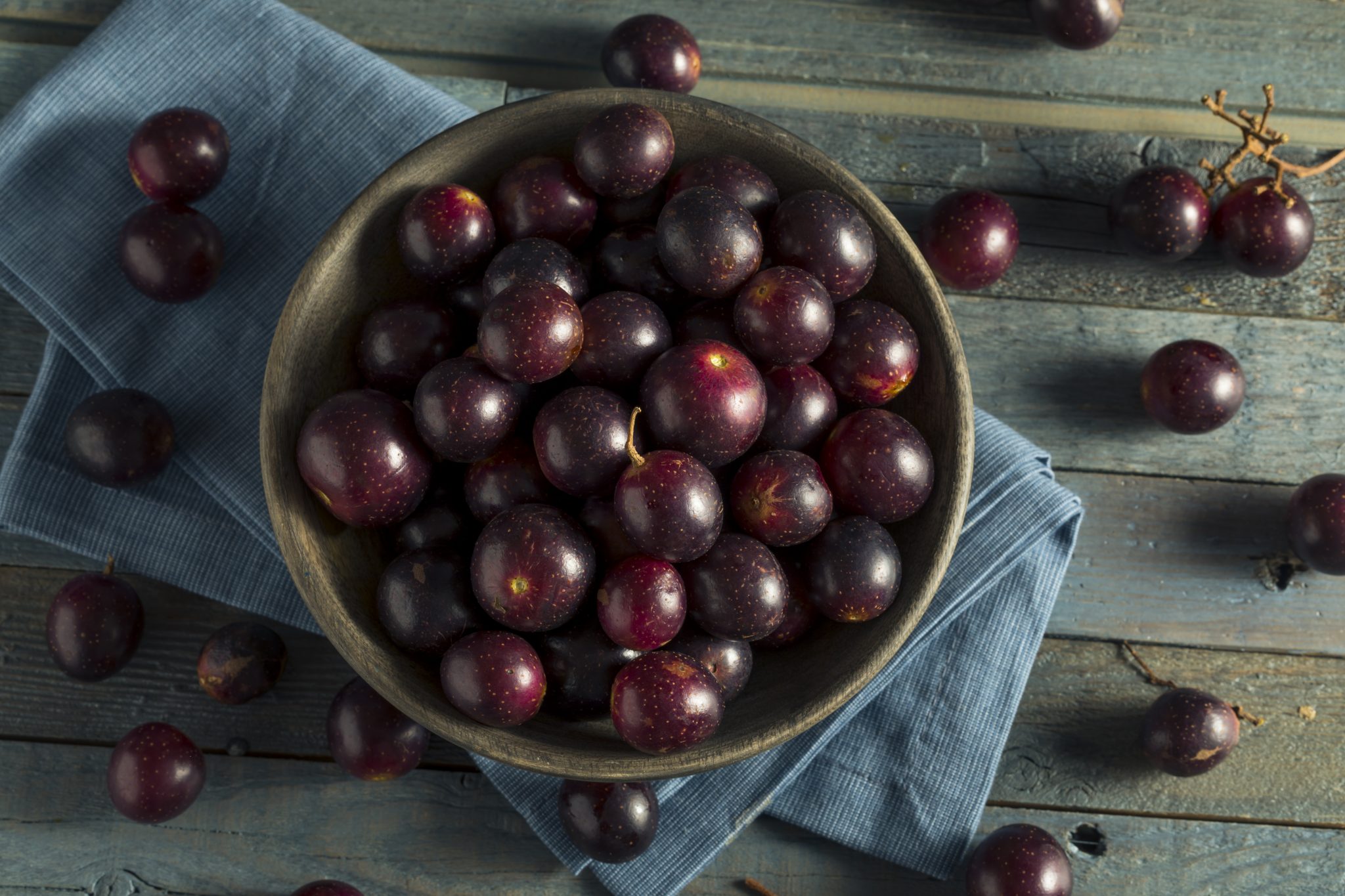 A Complete Guide to Muscadine Wine