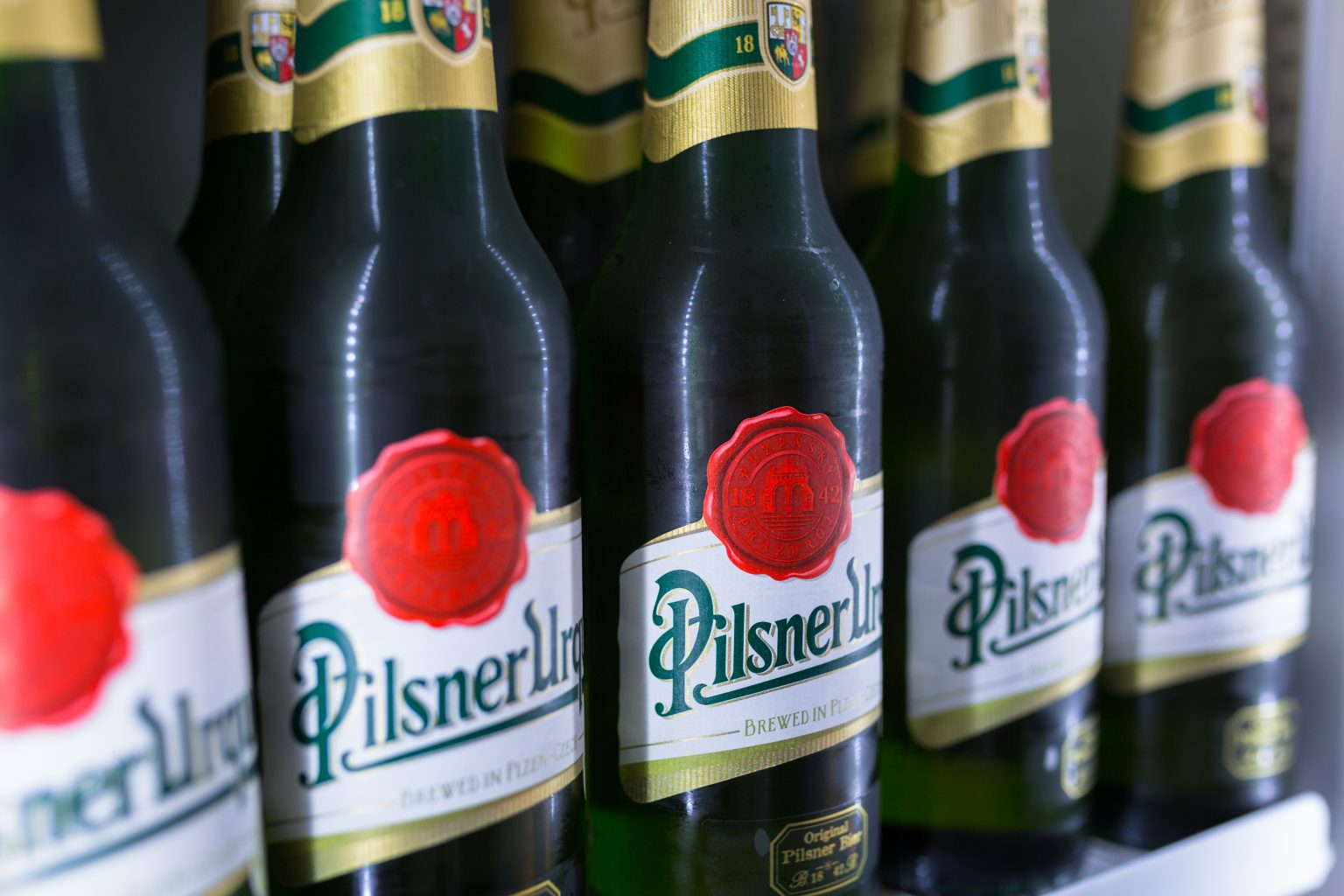 Pilsner Beer Guide - A Light And Bright Drink For Everyone