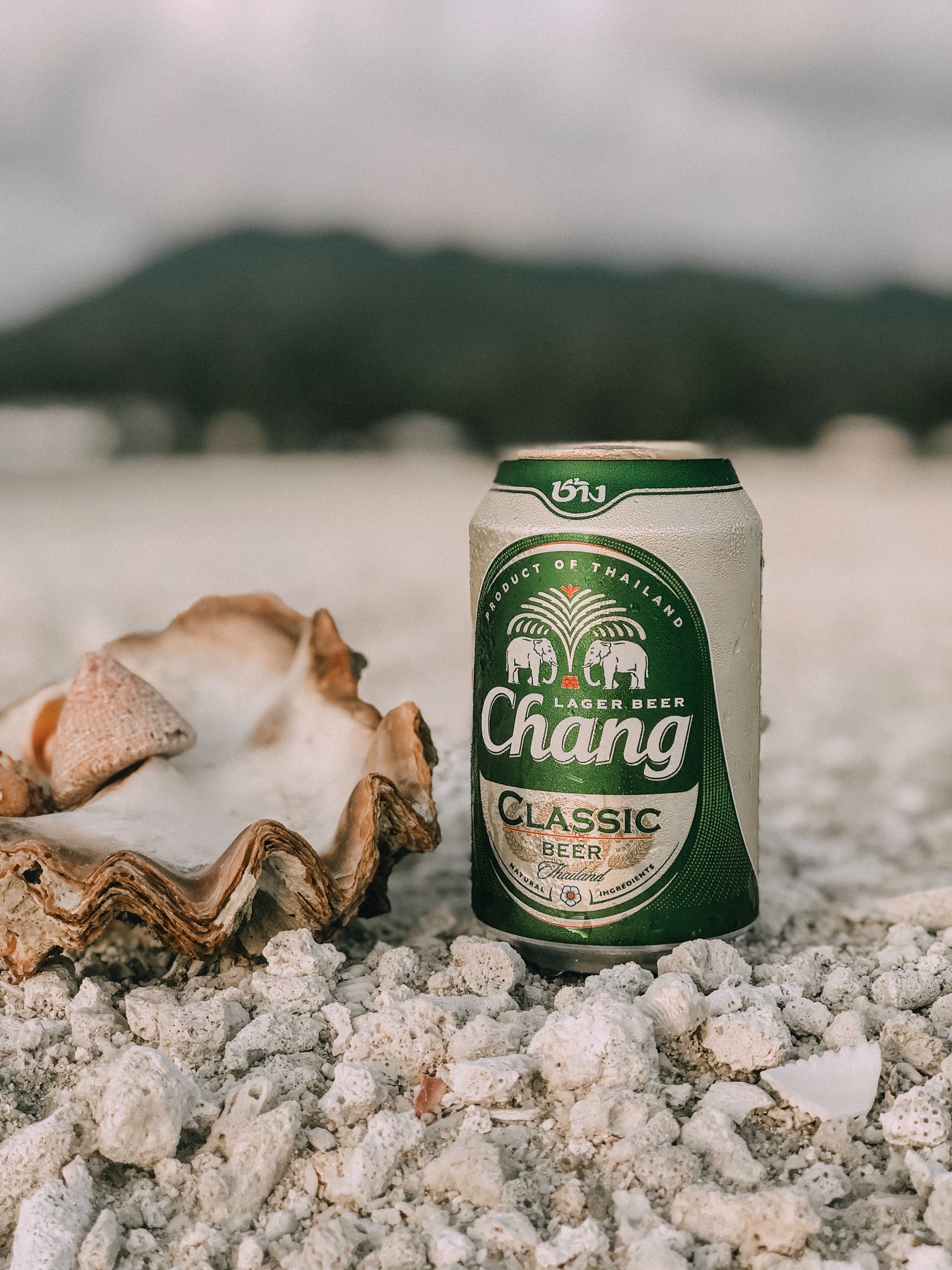 Singha or Chang? Discover The Exotic World Of Thai Beer