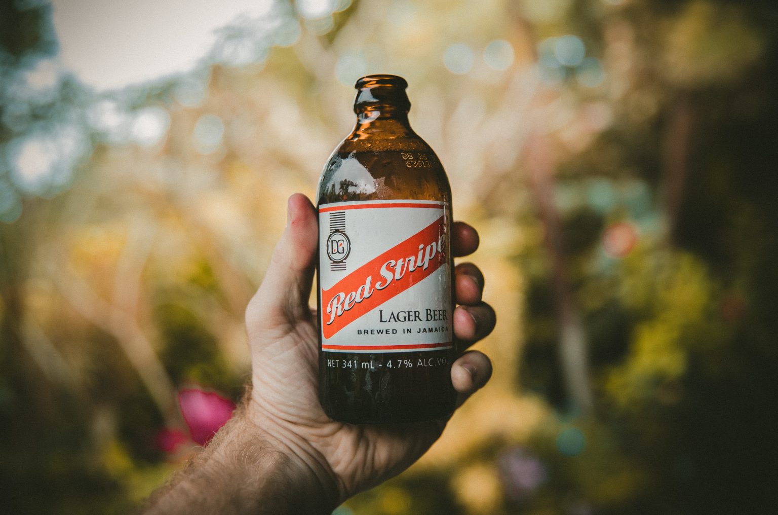 What is Lager? The Best Lagers Around the World You Must Try Right Now