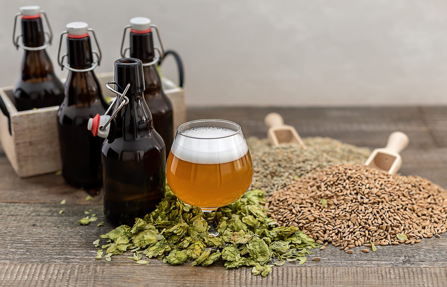 What Is Pale Ale? A Beer Drinkers Guide To The Light Side