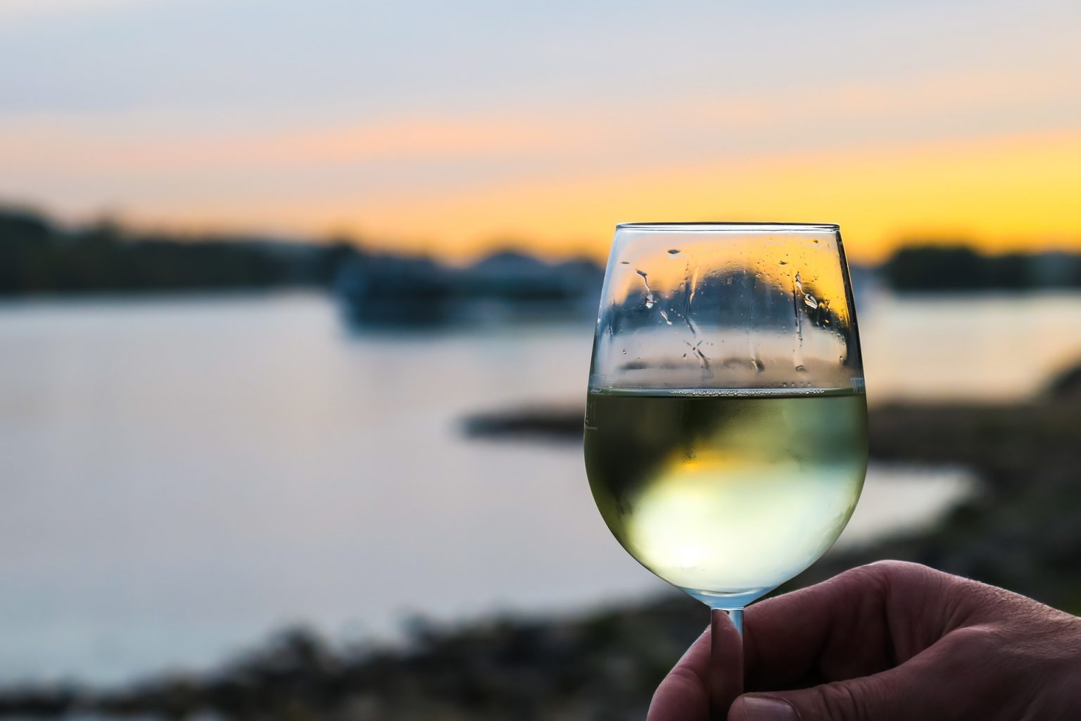 Guide to Verdejo Wine: What Is It, How Does It Taste & How to Drink It?