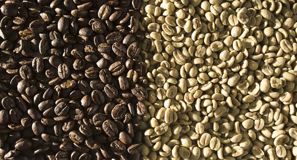 What Are the Different Coffee Flavours? All 4 Explained