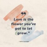 50+ Wedding Quotes and Images for the Bride – Heartfelt and More